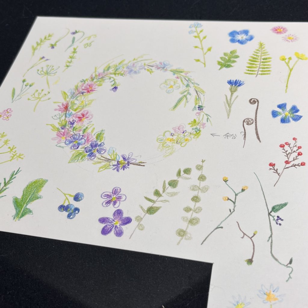 BeltaのColored Pencil Gallery 色鉛筆ギャラリー » リースをデザイン中