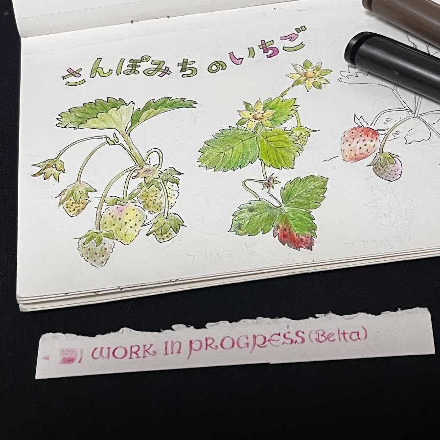 BeltaのColored Pencil Gallery 色鉛筆ギャラリー » 【絵を描く暮らし】さんぽみちのいちご